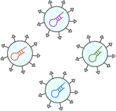 shRNA Target Design Tool | VectorBuilder