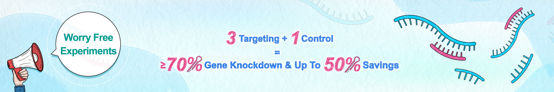 shRNA Gene Knockdown Solutions | VectorBuilder