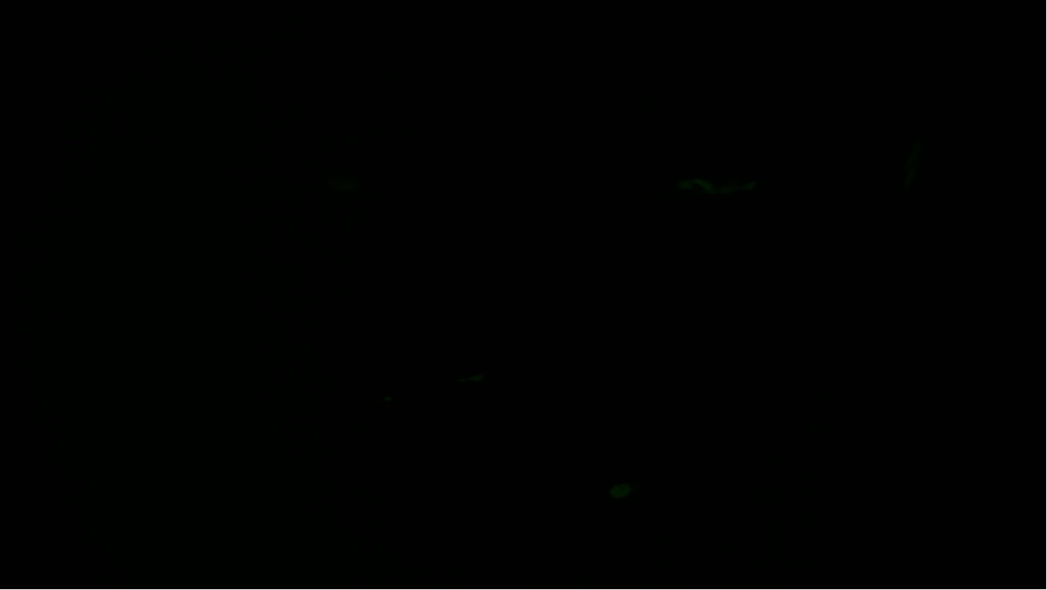 ワクシニアウイルス(VACV)｜ベクタービルダー