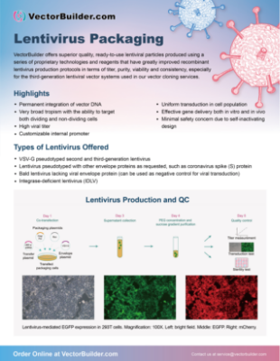 Lentivirus Packaging Services | VectorBuilder