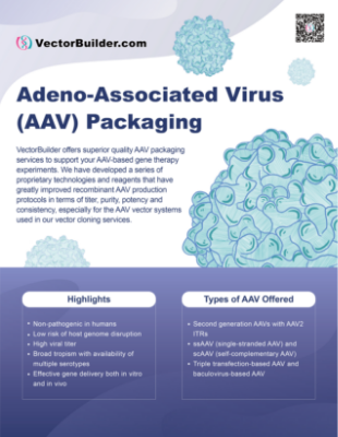 Adeno-associated virus (AAV) Packaging Services | VectorBuilder