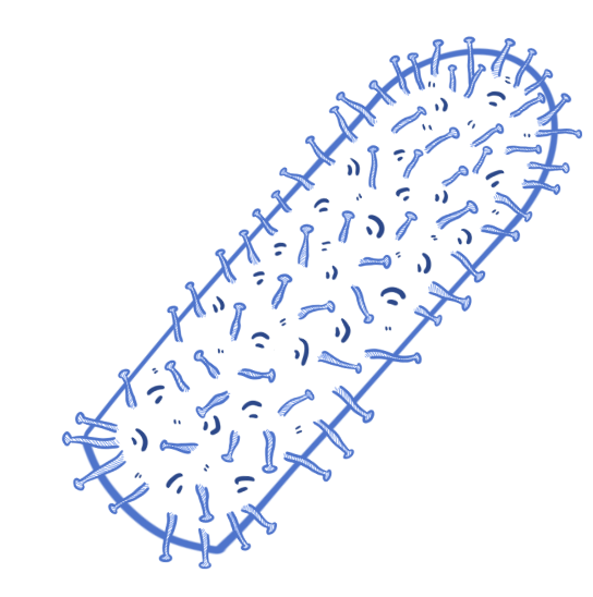 Virus Packaging Services | VectorBuilder