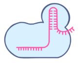 VectorBuilder | Revolutionizing Gene Delivery.