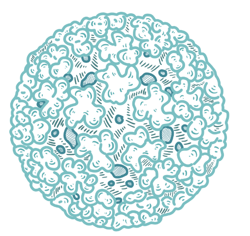 Virus Packaging Services | VectorBuilder